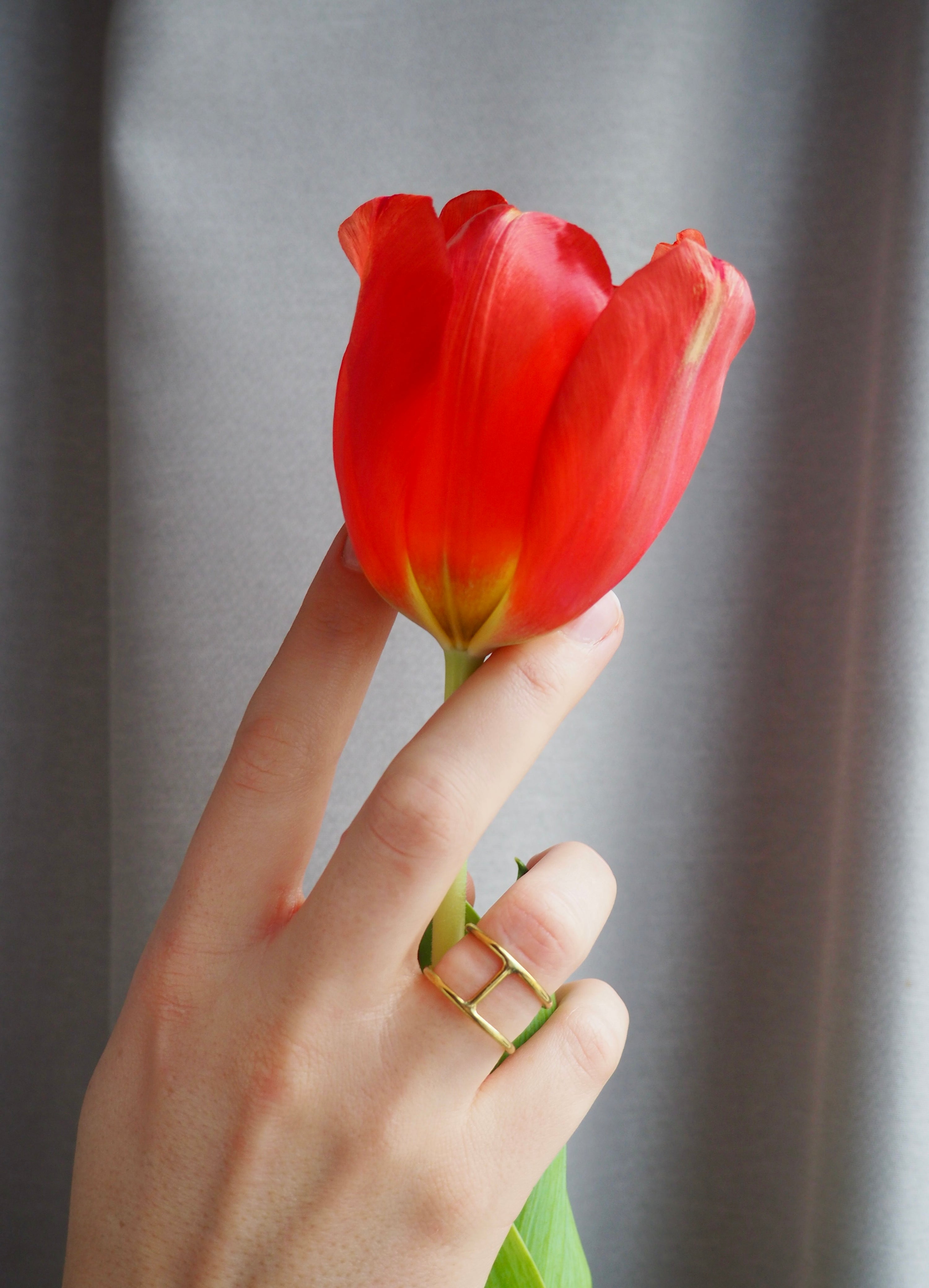 COLLECTION: RINGS – FOLKDAYS